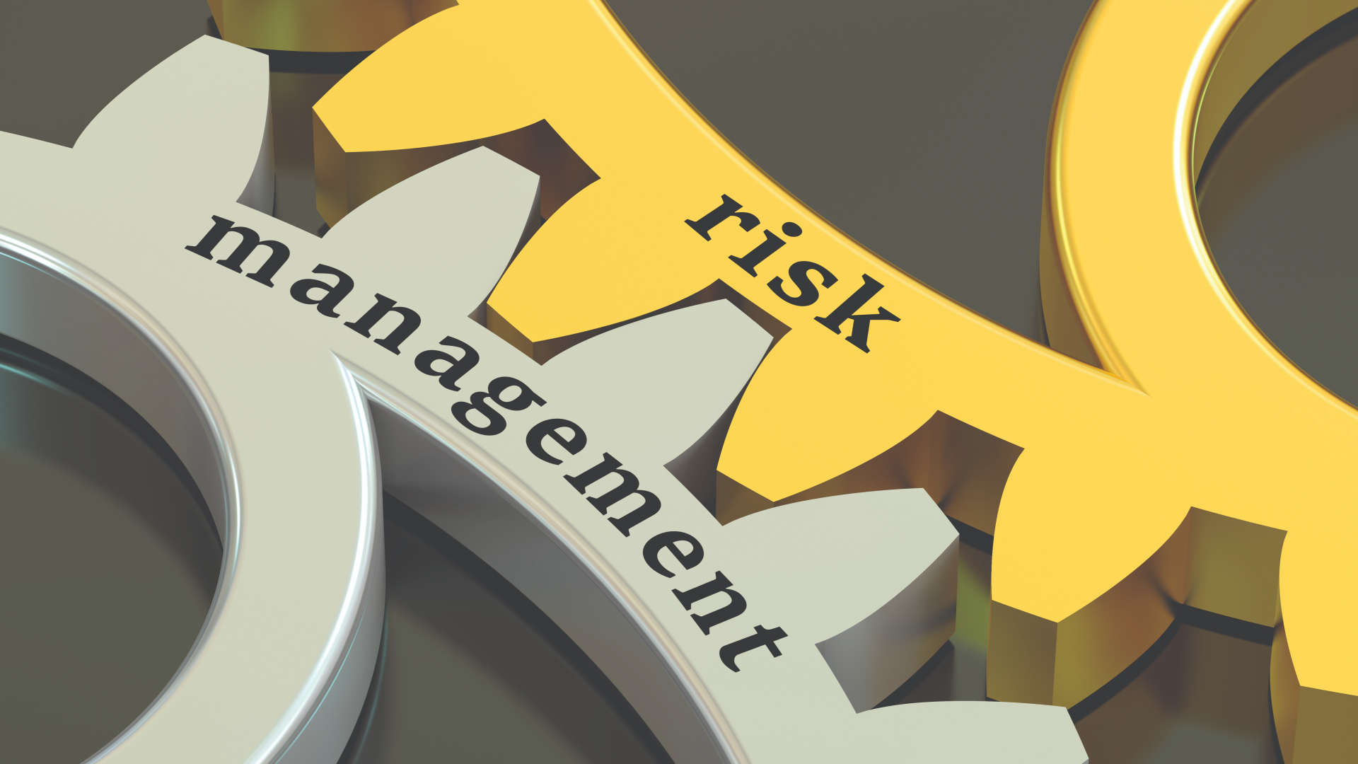 Risk Management Services
